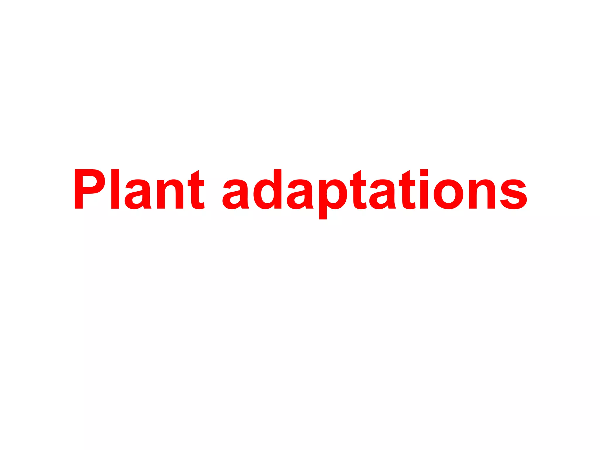 Plants adaptation | PPT