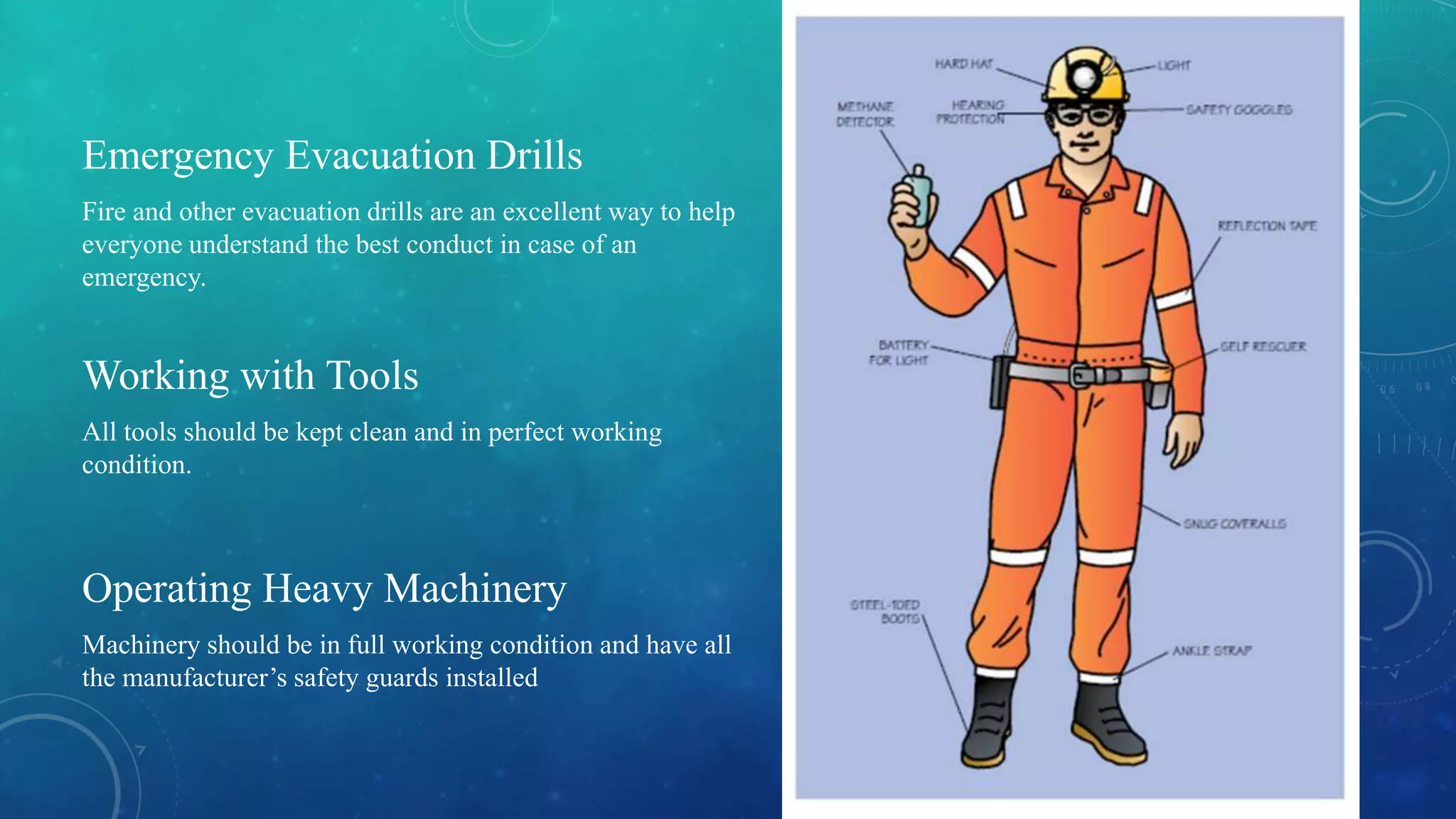 Plant safety tips | PPTX
