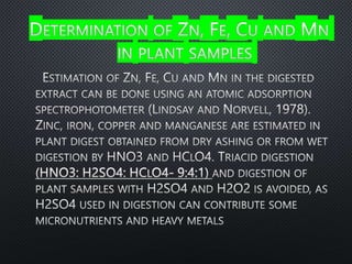 plant_sample[1].pptx.......,..,.......... | PPT