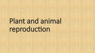 Plants and Animal Reproduction.pptxxxxxx | PPTX