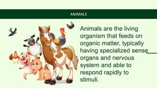 the plants and animals short descritption.pdf