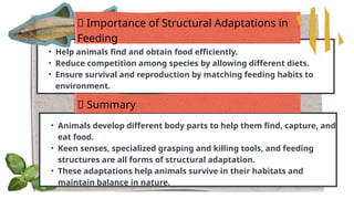 Plants and Animals Adaptation Presentation | PPTX