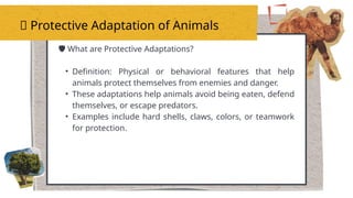 Plants and Animals Adaptation Presentation | PPTX