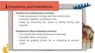 Plants and Animals Adaptation Presentation | PPTX