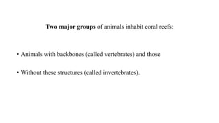 Plants and animals associates of living reef corals | PPT