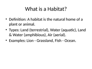 Plants_and_Animals_in_Their_Habitats_Lesson.pptx