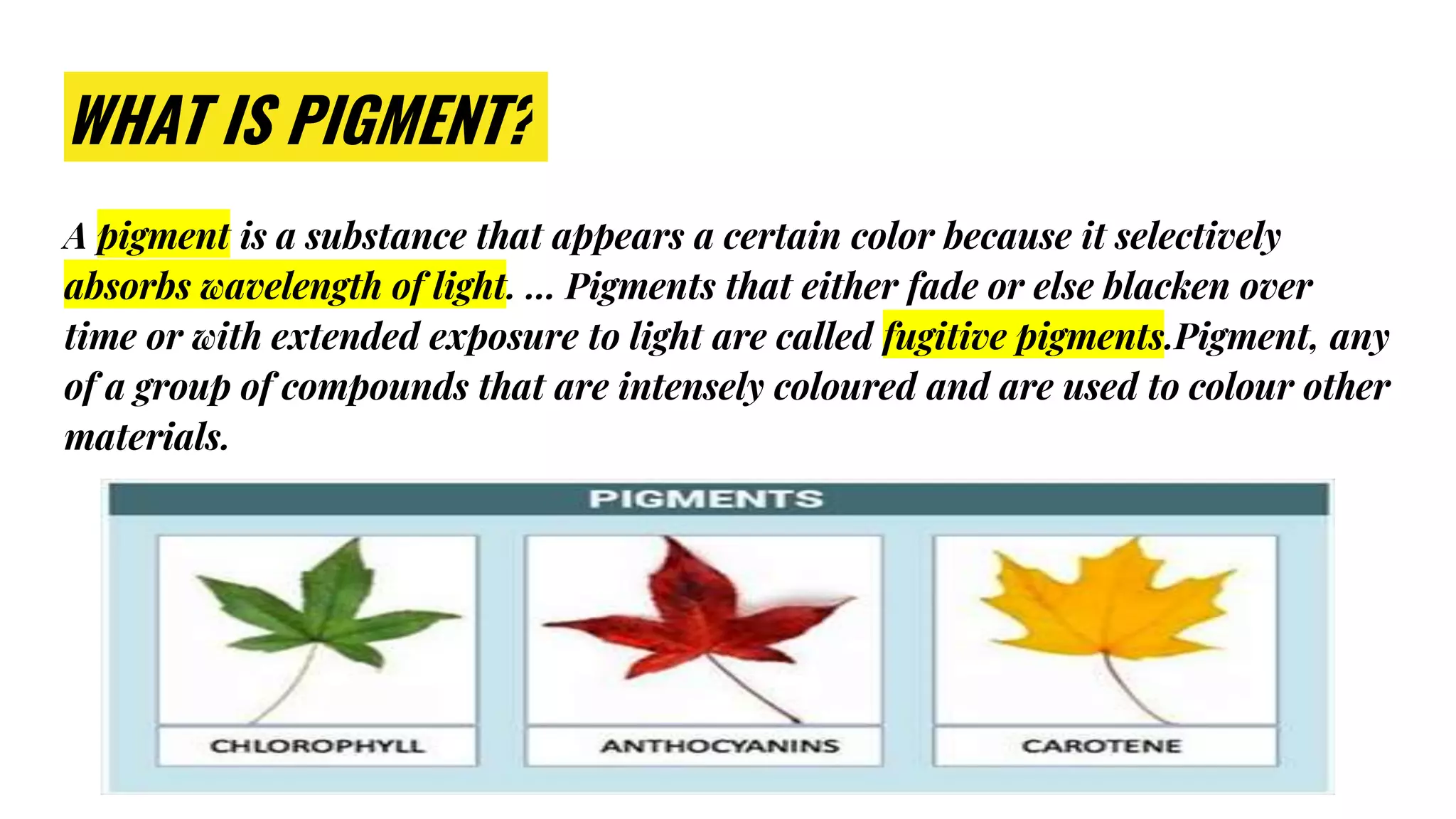 PLANTS AND ANIMALS PIGMENTS | PPTX