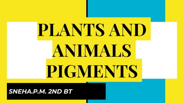 PLANTS AND ANIMALS PIGMENTS | PPTX | Chemistry | Science
