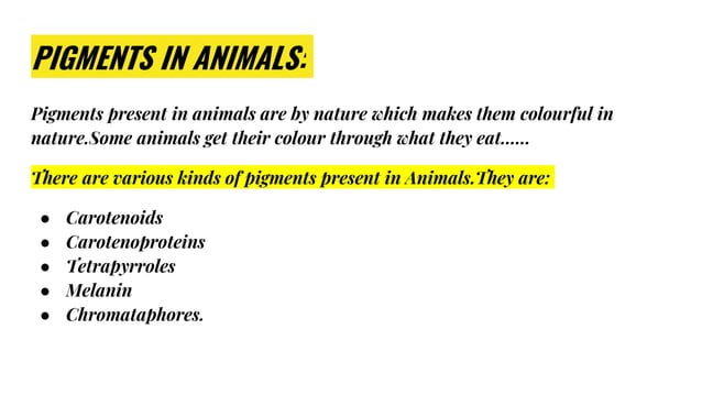 PLANTS AND ANIMALS PIGMENTS | PPTX | Chemistry | Science