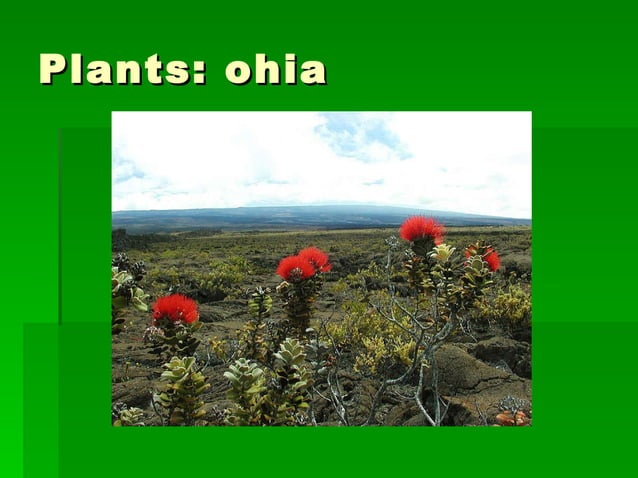 Plants And Birds Of Hawaii | PPT
