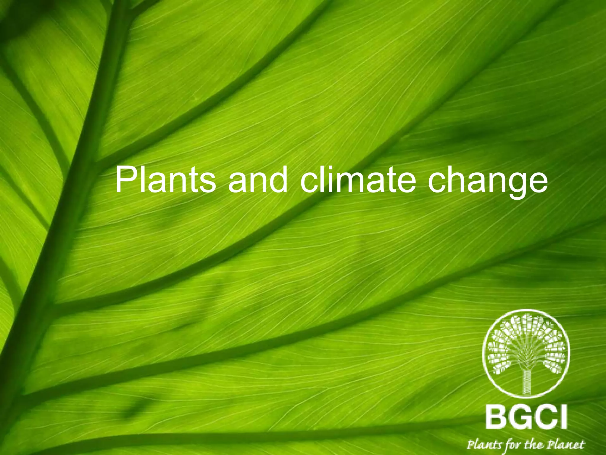 plants_and_climate_change.ppt