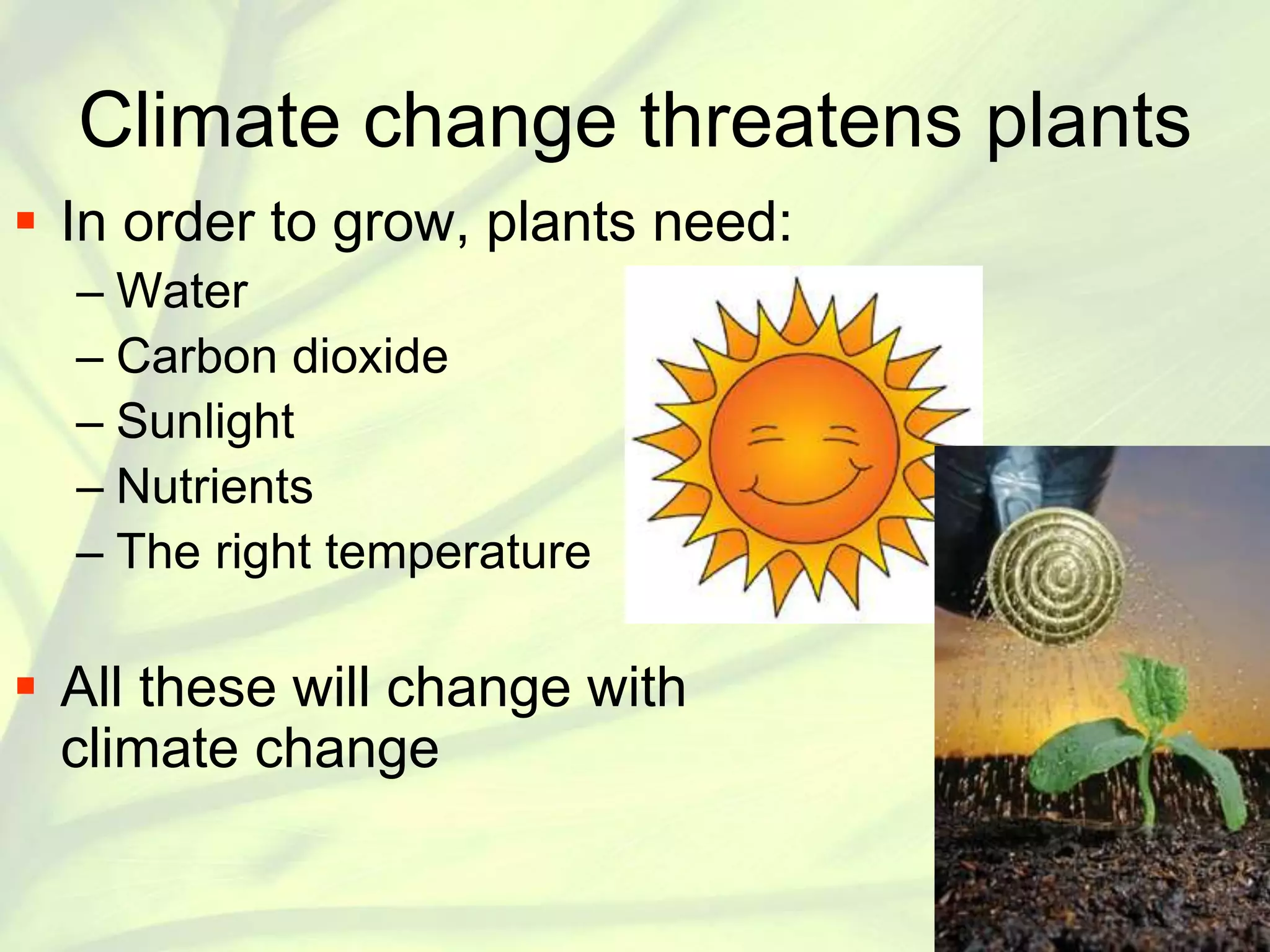 plants_and_climate_change.ppt | Gardening | Home & Garden