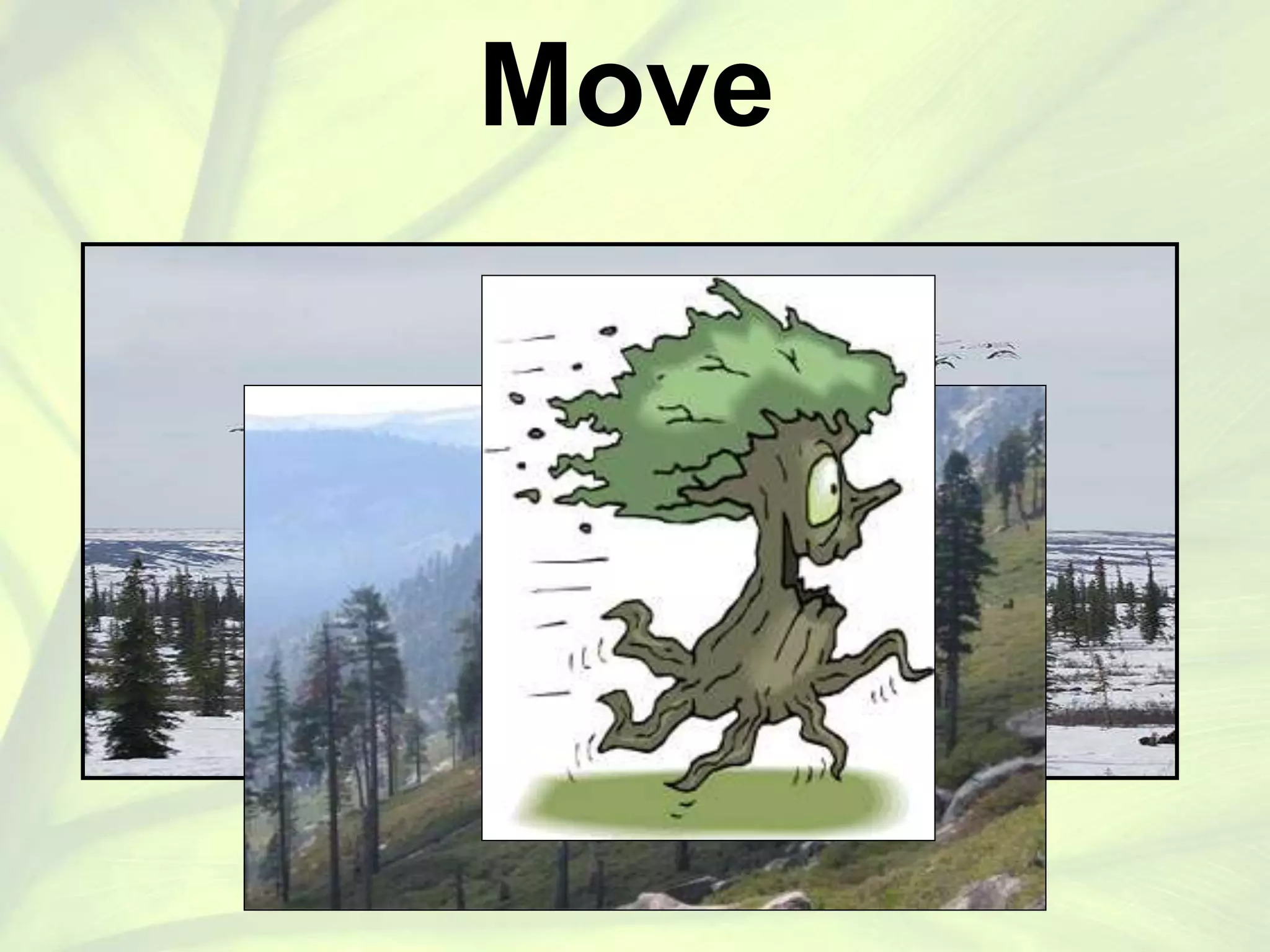 plants_and_climate_change.ppt