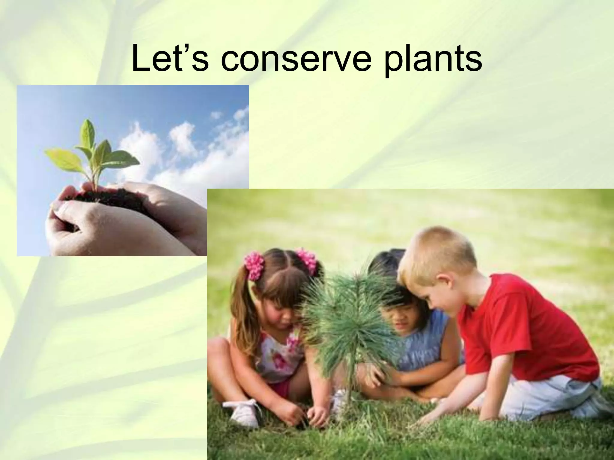 plants_and_climate_change.ppt | Gardening | Home & Garden