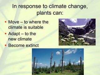 plants_and_climate_change.ppt | Gardening | Home & Garden