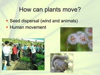 plants_and_climate_change.ppt