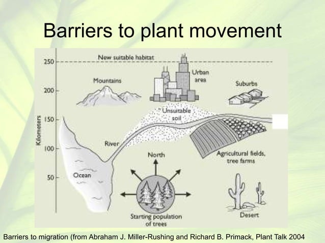 plants_and_climate_change.ppt