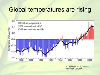 plants_and_climate_change.ppt | Gardening | Home & Garden