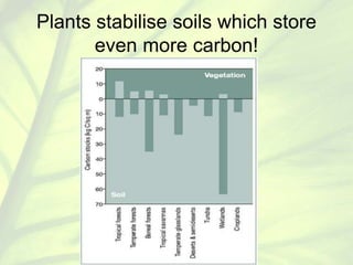 plants_and_climate_change.ppt | Gardening | Home & Garden