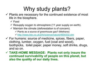 About Plants and Humans (1) - Biology Major | PPTX