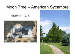 About Plants and Humans (1) - Biology Major | PPTX