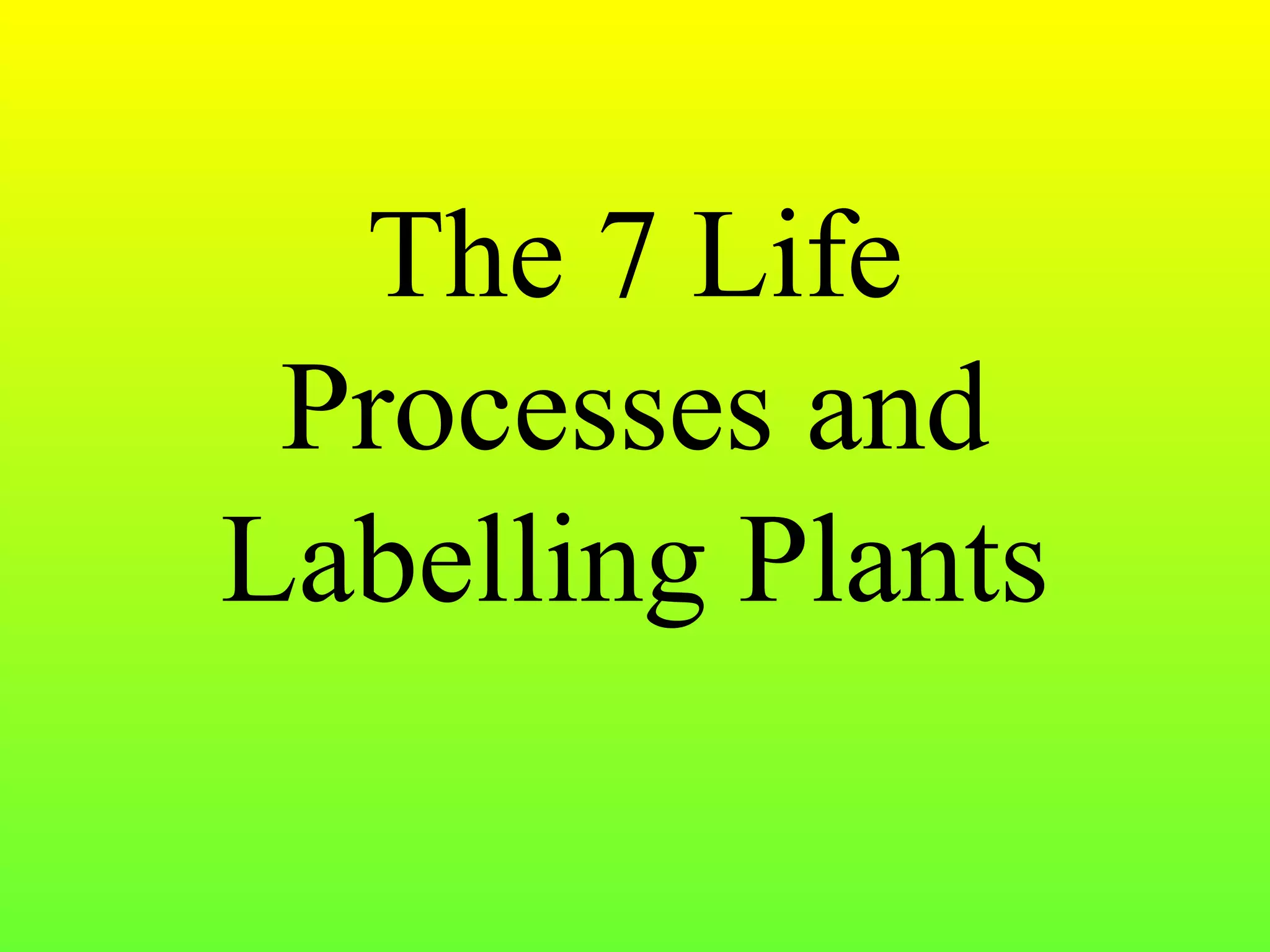 Plants and life processes | PPT
