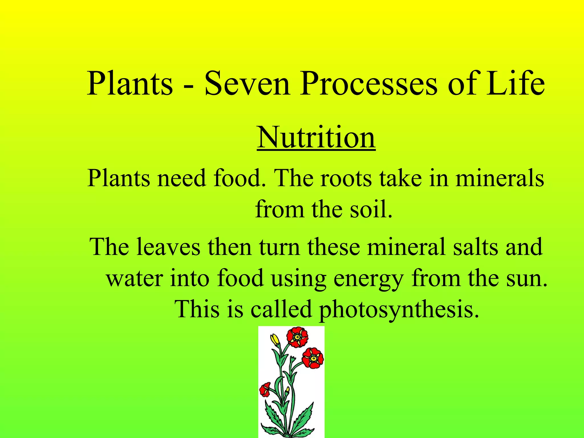 Plants and life processes | PPT
