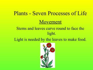 Plants and life processes | PPT