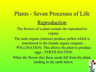 Plants and life processes | PPT
