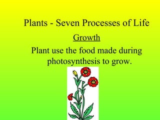 Plants and life processes | PPT