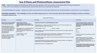 plants_and_photosynthxffffffffffffddesis.pptx
