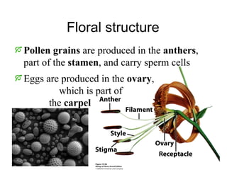 Plants And Pollination Biology | PPT