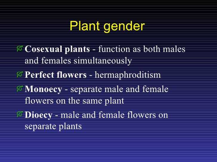 Plants And Pollination Biology