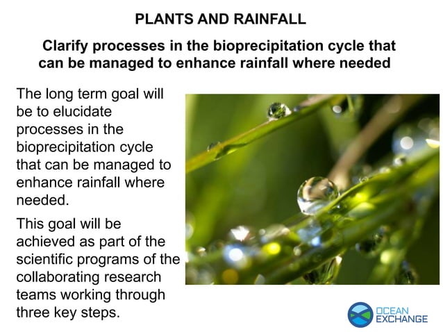 Plants and Rainfall | PPT