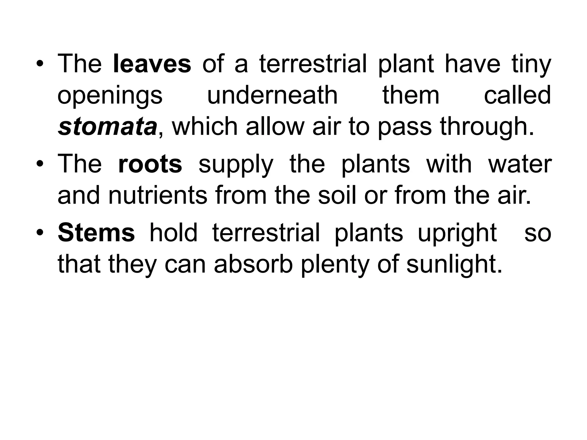 Plants and their habitats | PPTX