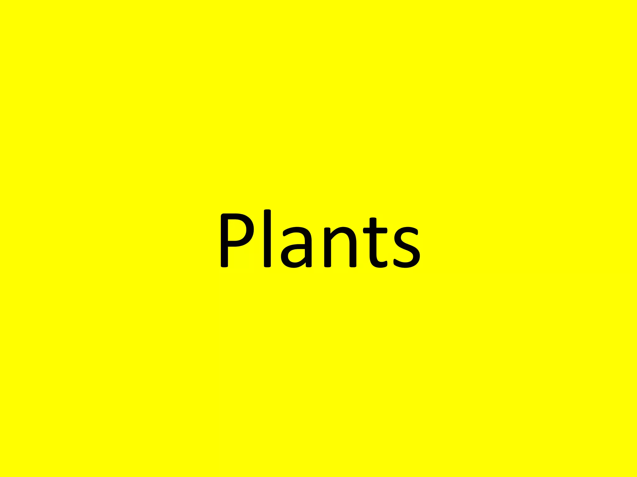 Plants and their latin names | PPTX