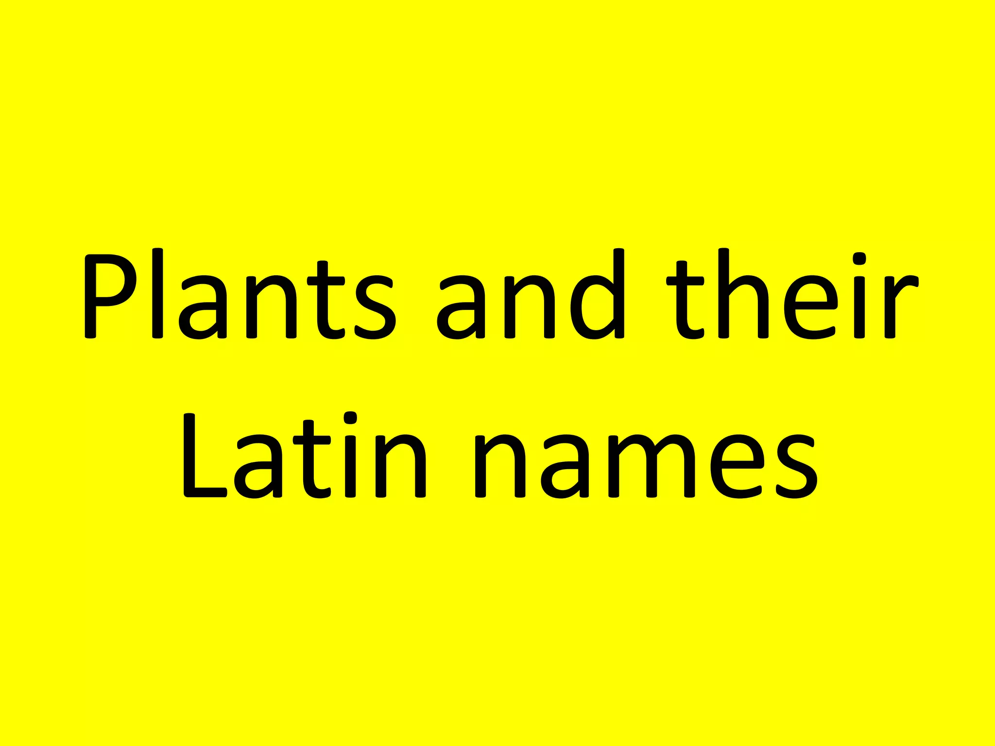 Plants and their latin names | PPT