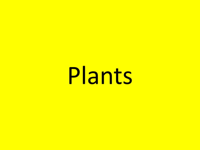 Plants and their latin names | PPTX