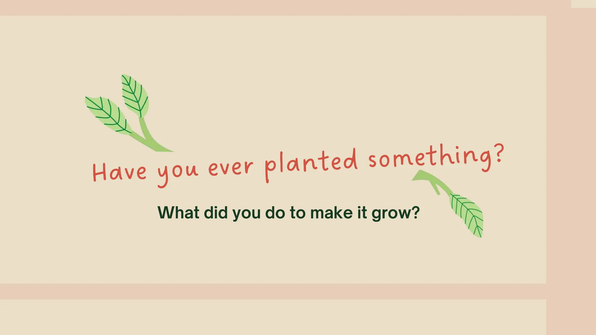 Plants and Their Systems: A Comprehensive Exploration | PPT