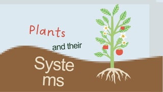 Plants and Their Systems: A Comprehensive Exploration | PPT