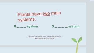 Plants and Their Systems: A Comprehensive Exploration | PPT