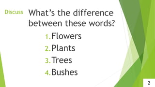 Plants and Trees | PPTX