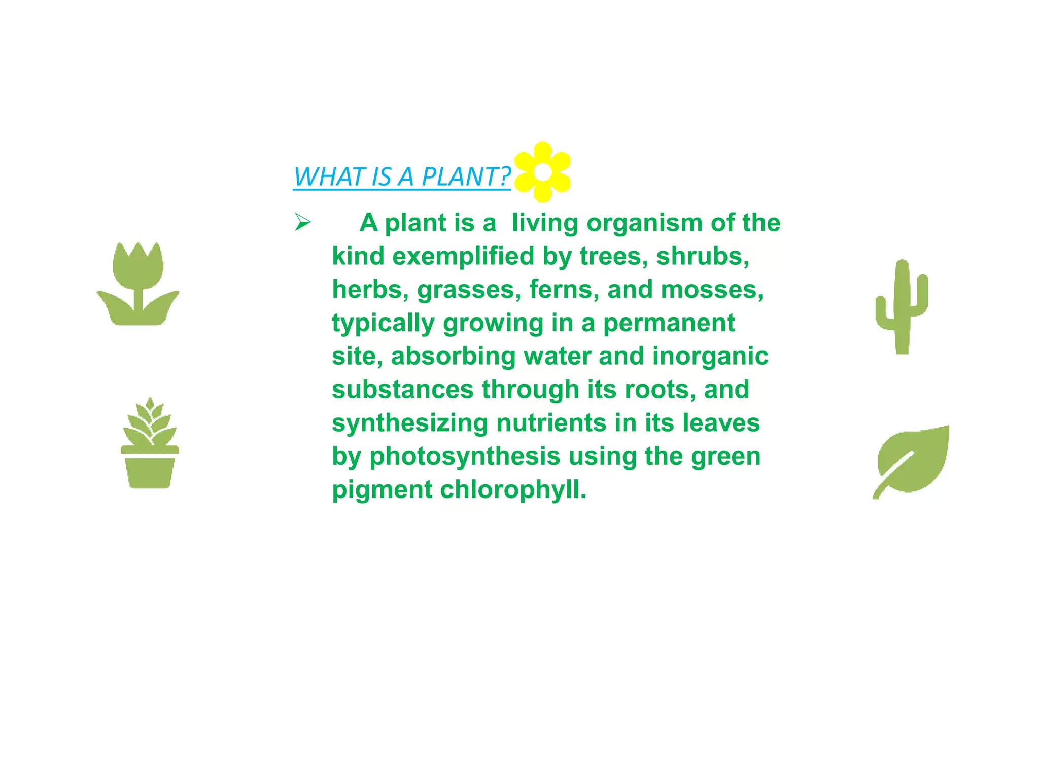 Plants and trees | PPTX