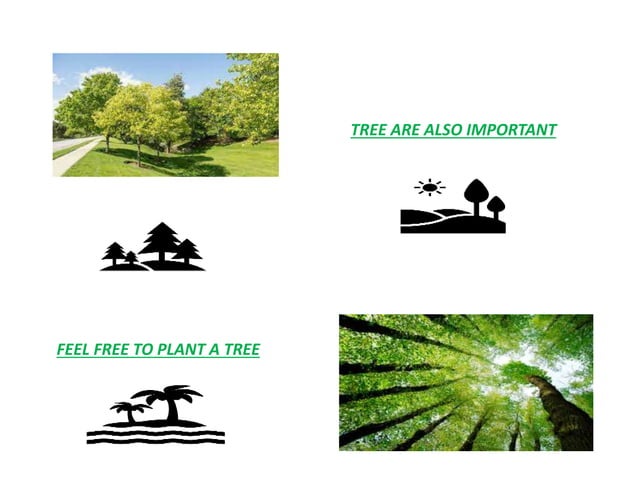 Plants and trees | PPTX