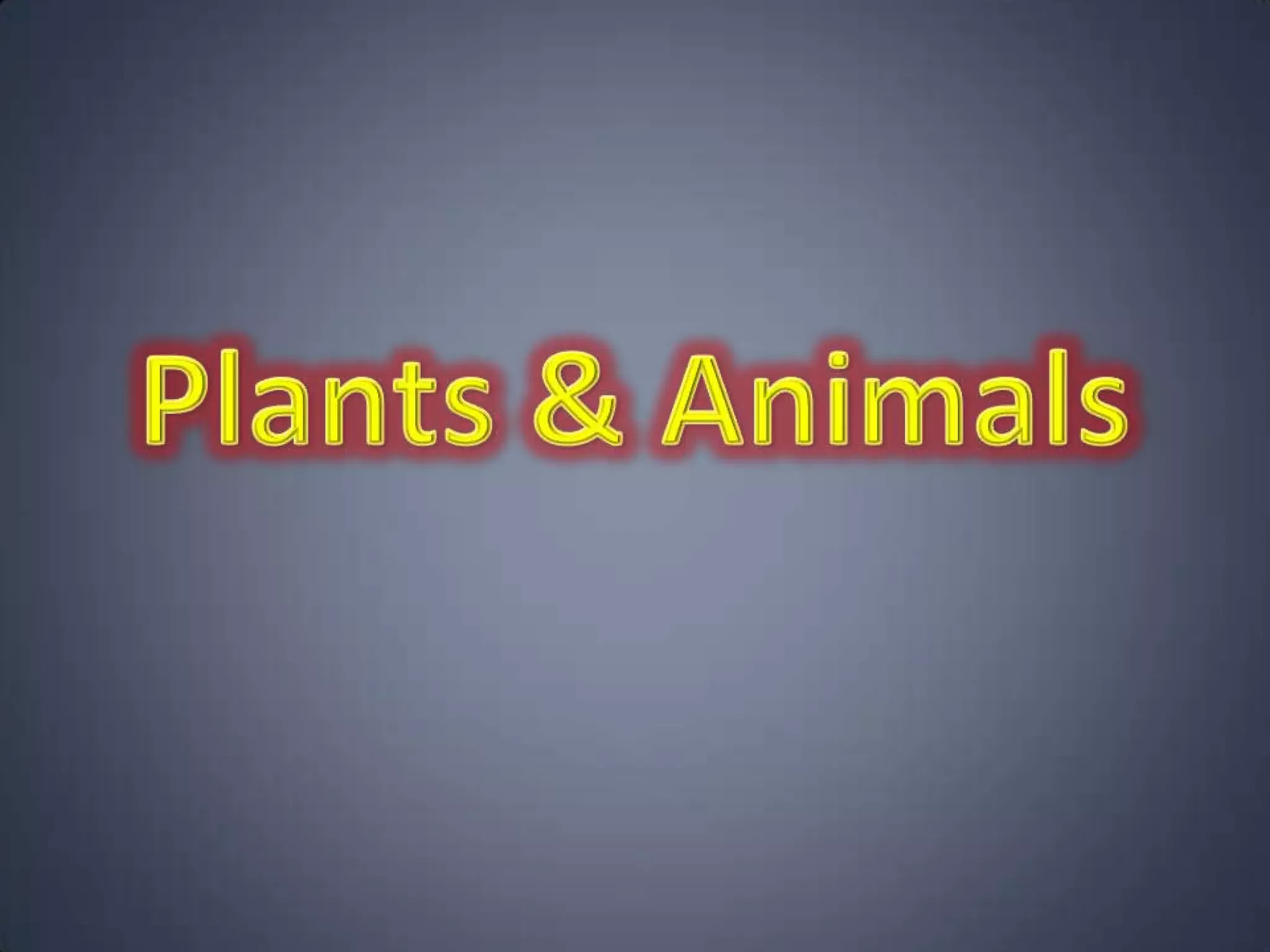 Plants & animals | PPT
