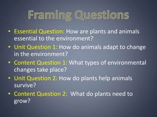 Plants & animals | PPT