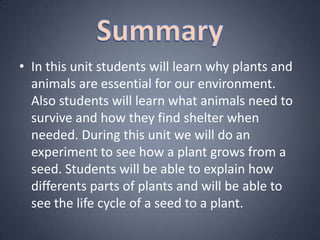 Plants & animals | PPT
