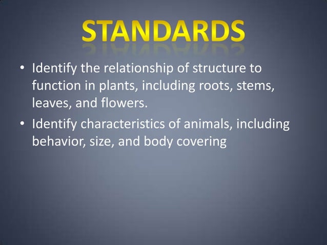 Plants & animals | PPT