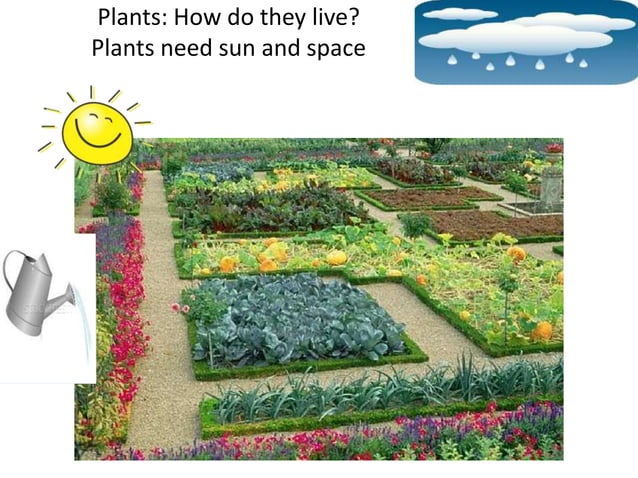 Plants are living! | PPTX | Gardening | Home & Garden