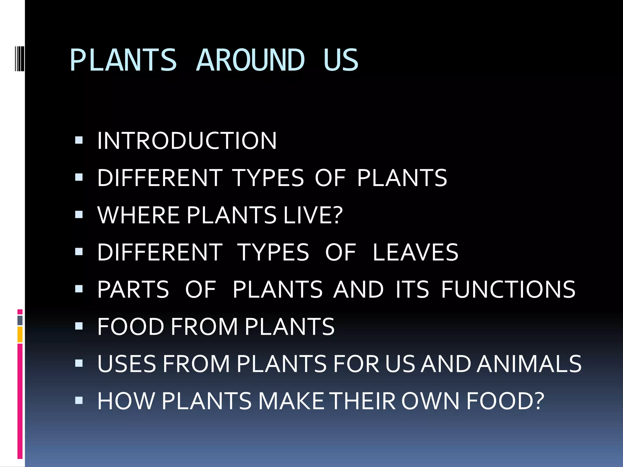 ALL ABOUT PLANTS | PPTX
